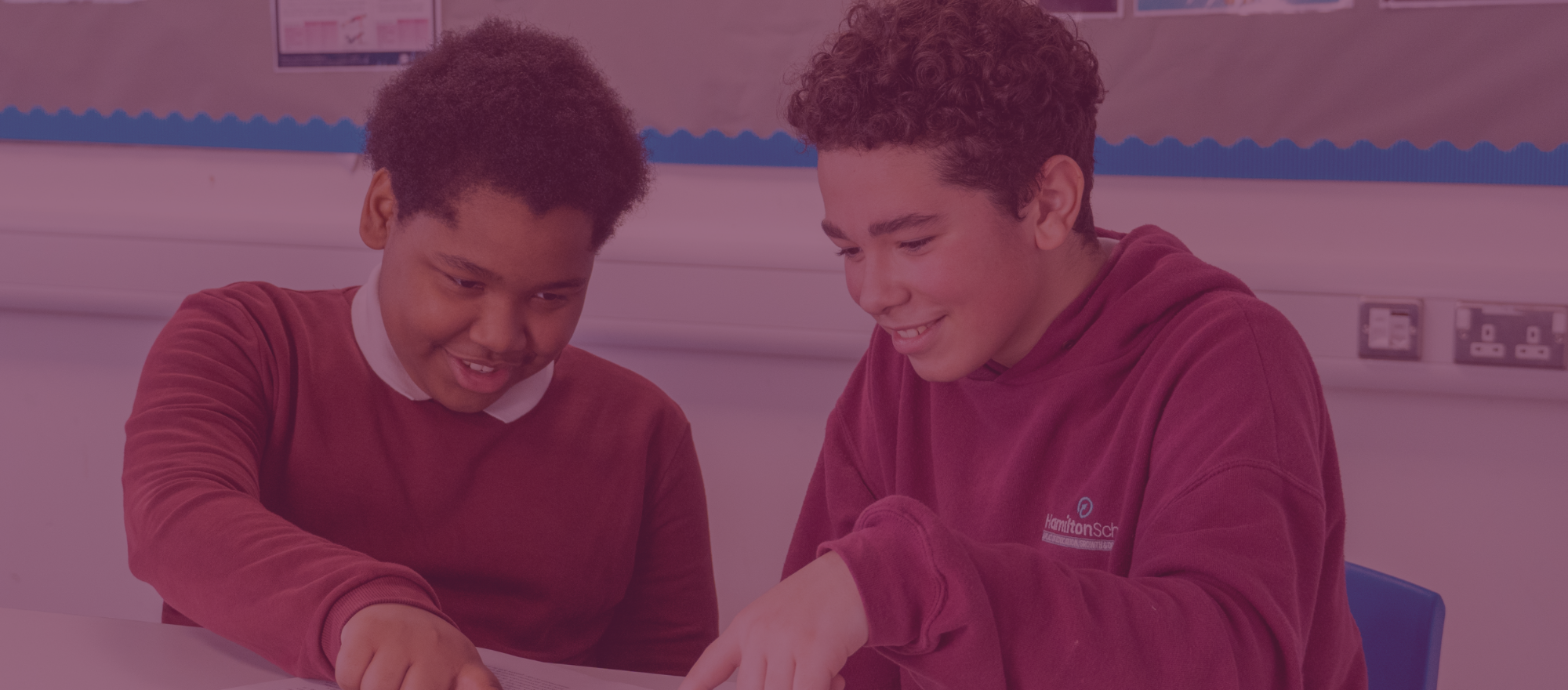 Hamilton School - MATHS