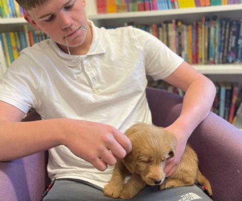 Hamilton School - Home