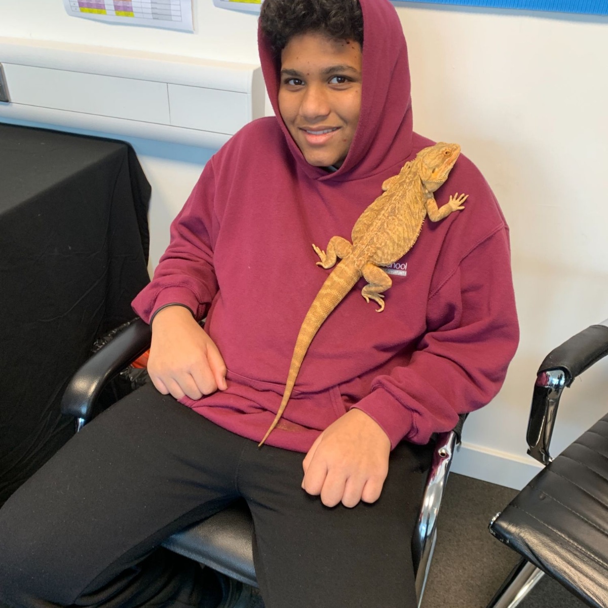 Hamilton School - Reptile Visit