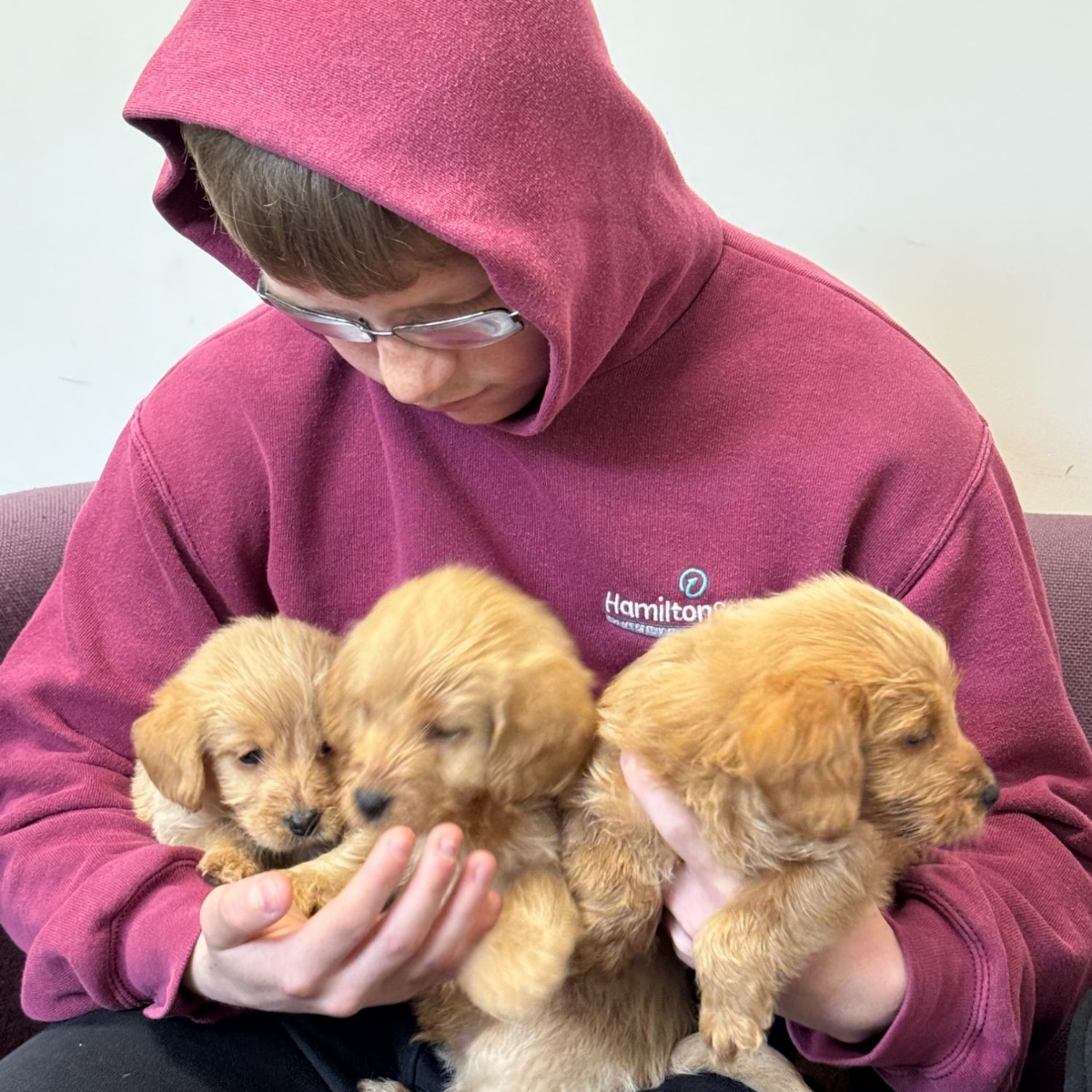 Hamilton School - The Best Visitors!