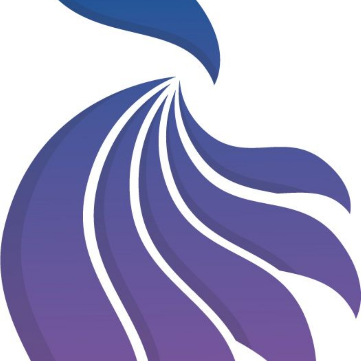 Hamilton School - NEW WEBSITE LAUNCHED!